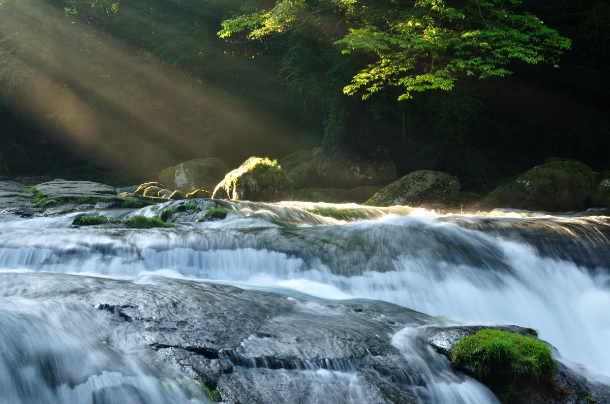 The rays of the sun | GANREF