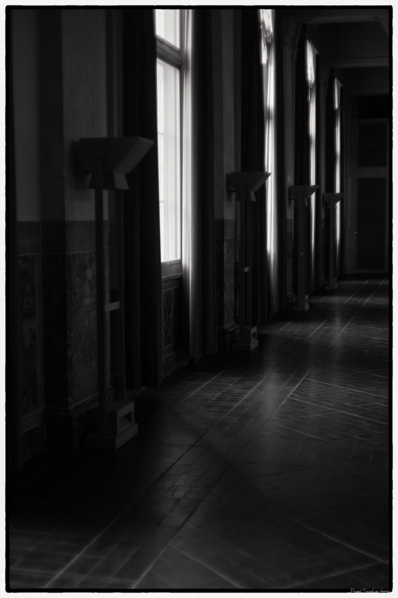 fascinating light | GANREF