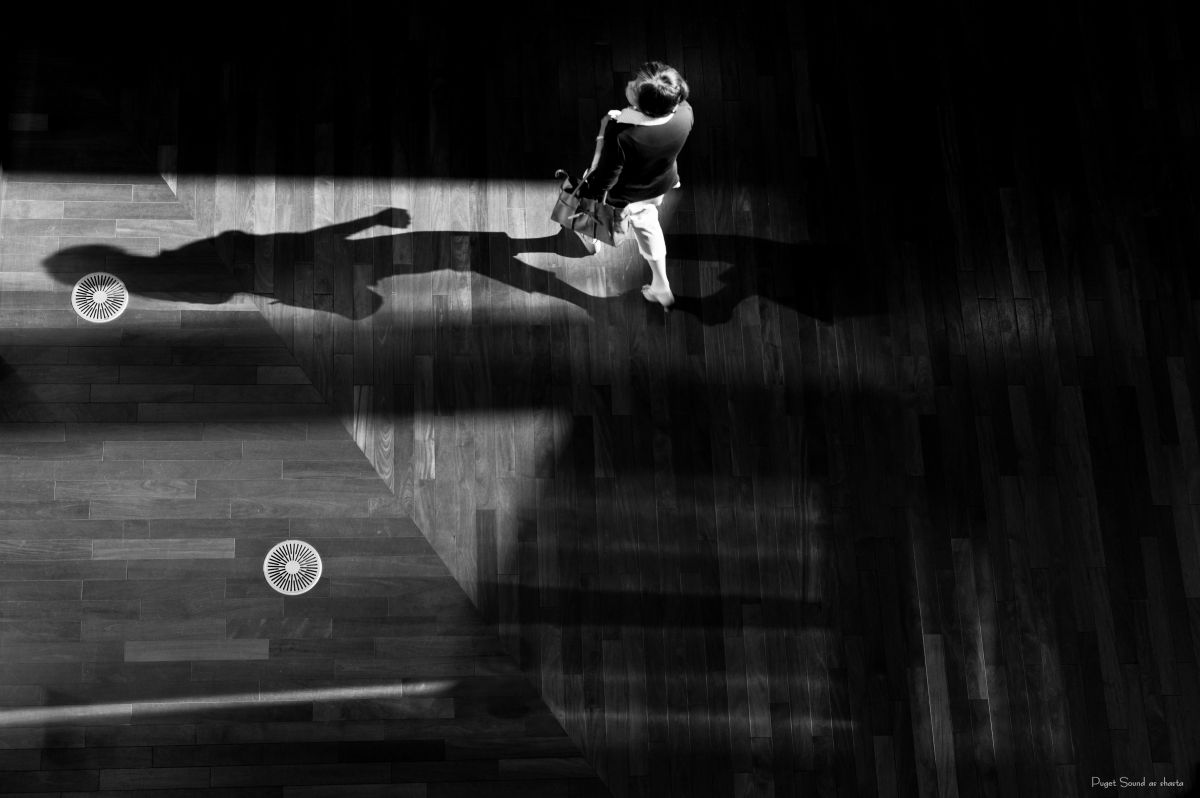 Light makes shadow | GANREF