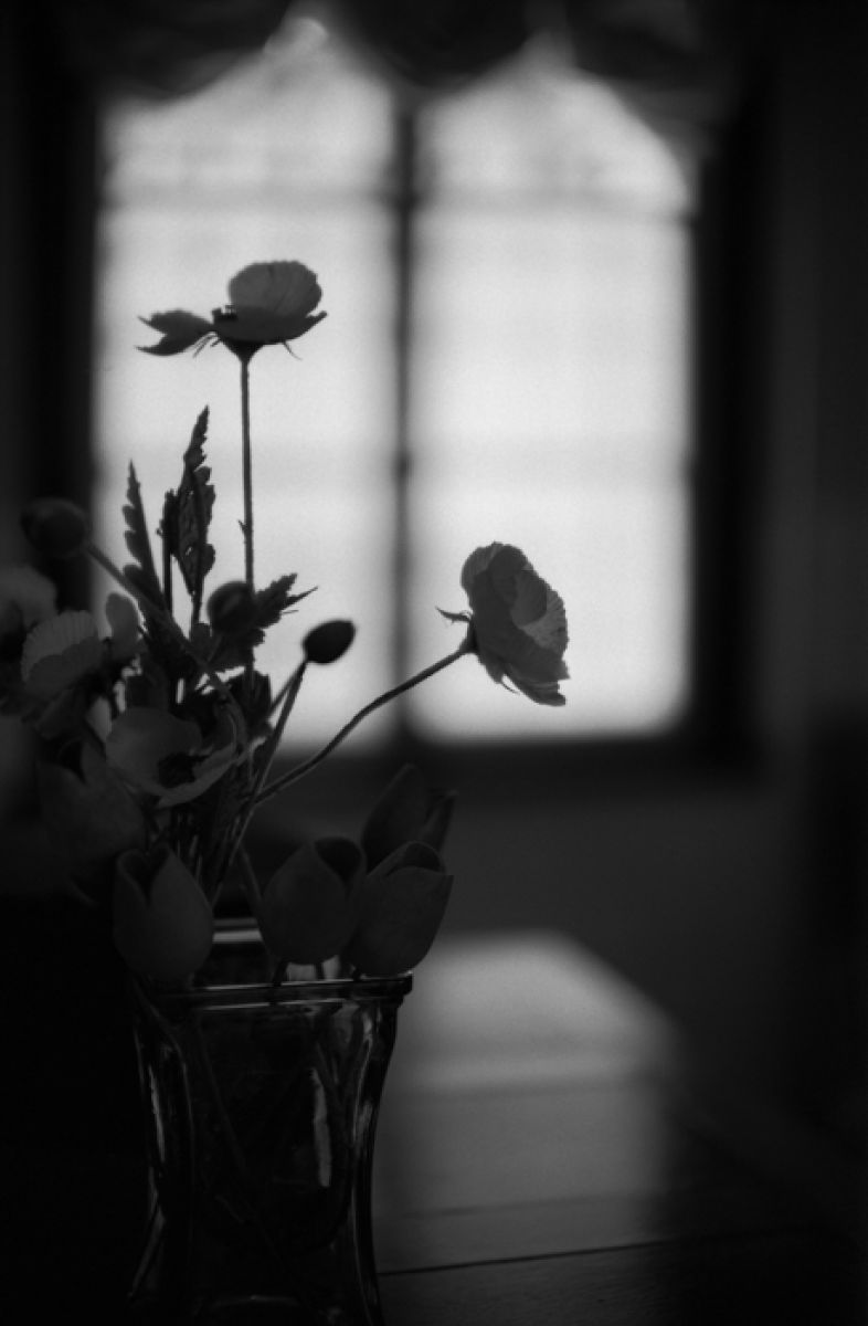 artificial flowers | GANREF