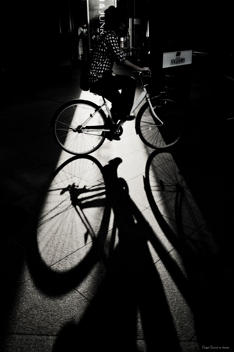 Light makes shadow | GANREF