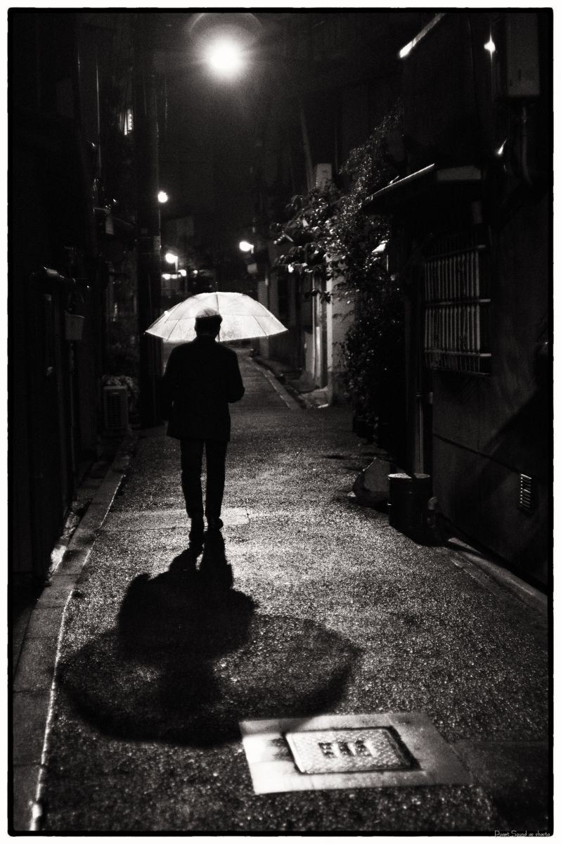 Light makes shadow | GANREF