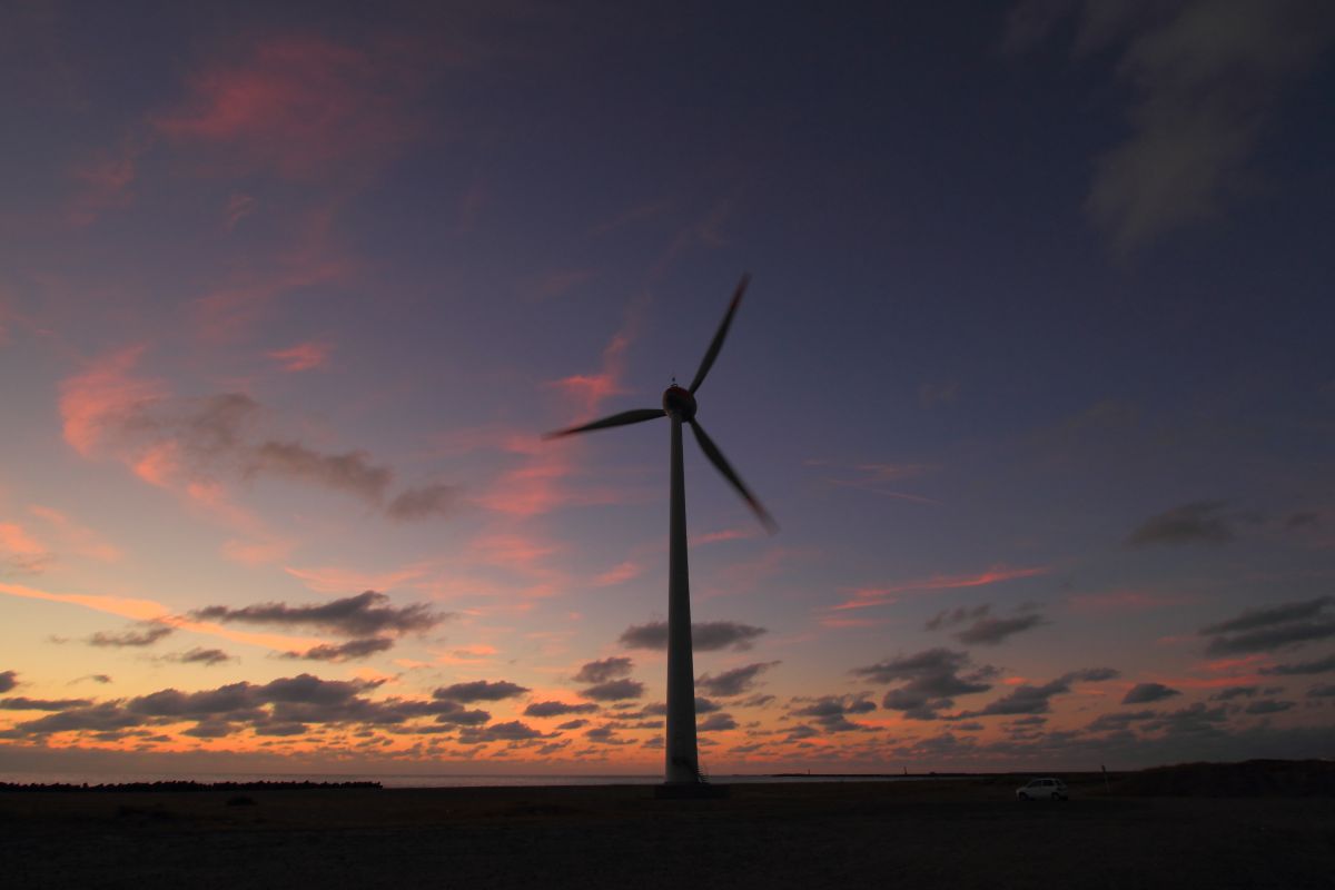 Twilight Wind | GANREF