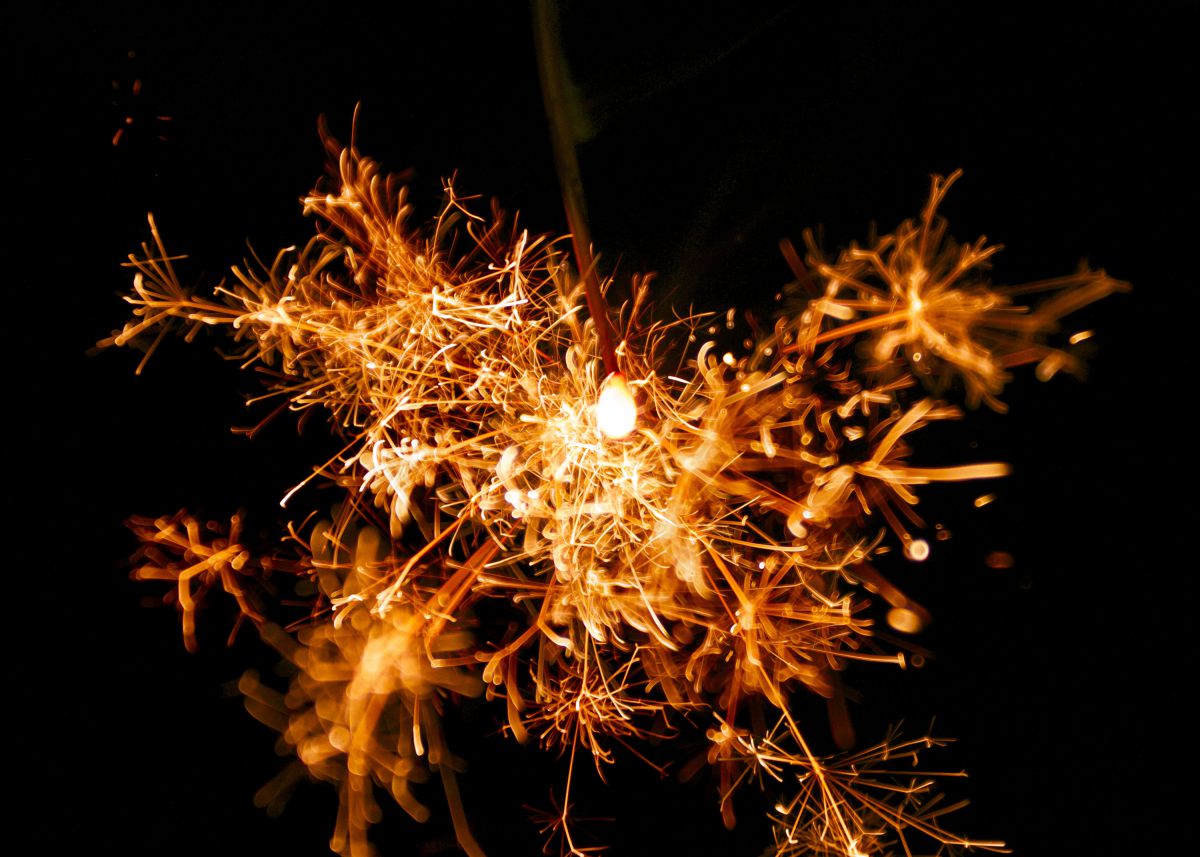 ONE_SENKO.jpg | GANREF