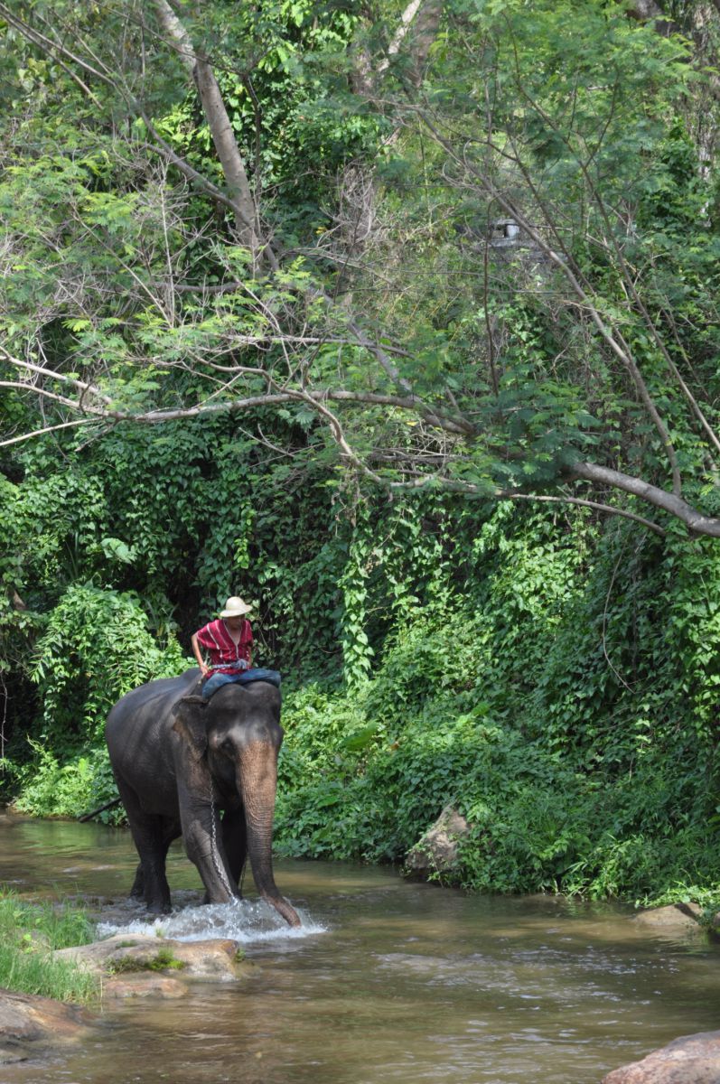 ChiangMai-02 Thailand-2010 | GANREF