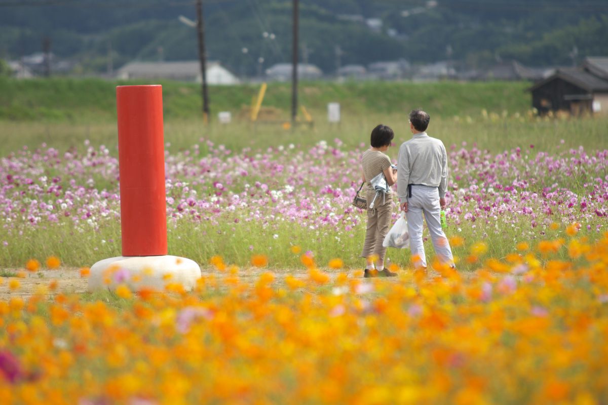 愛の千年宮.jpg | GANREF