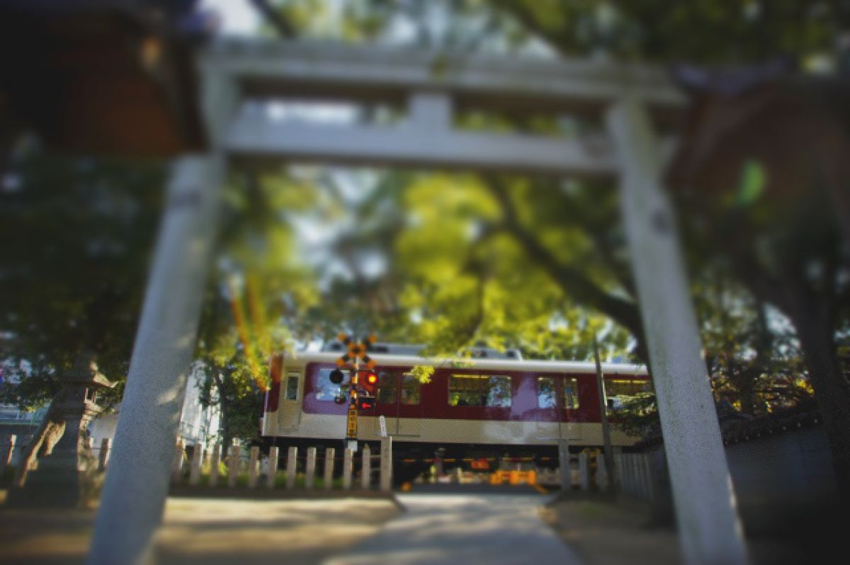 沢田八幡神社～ミニチュア風～ | GANREF