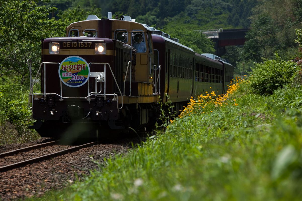 のんびり | GANREF