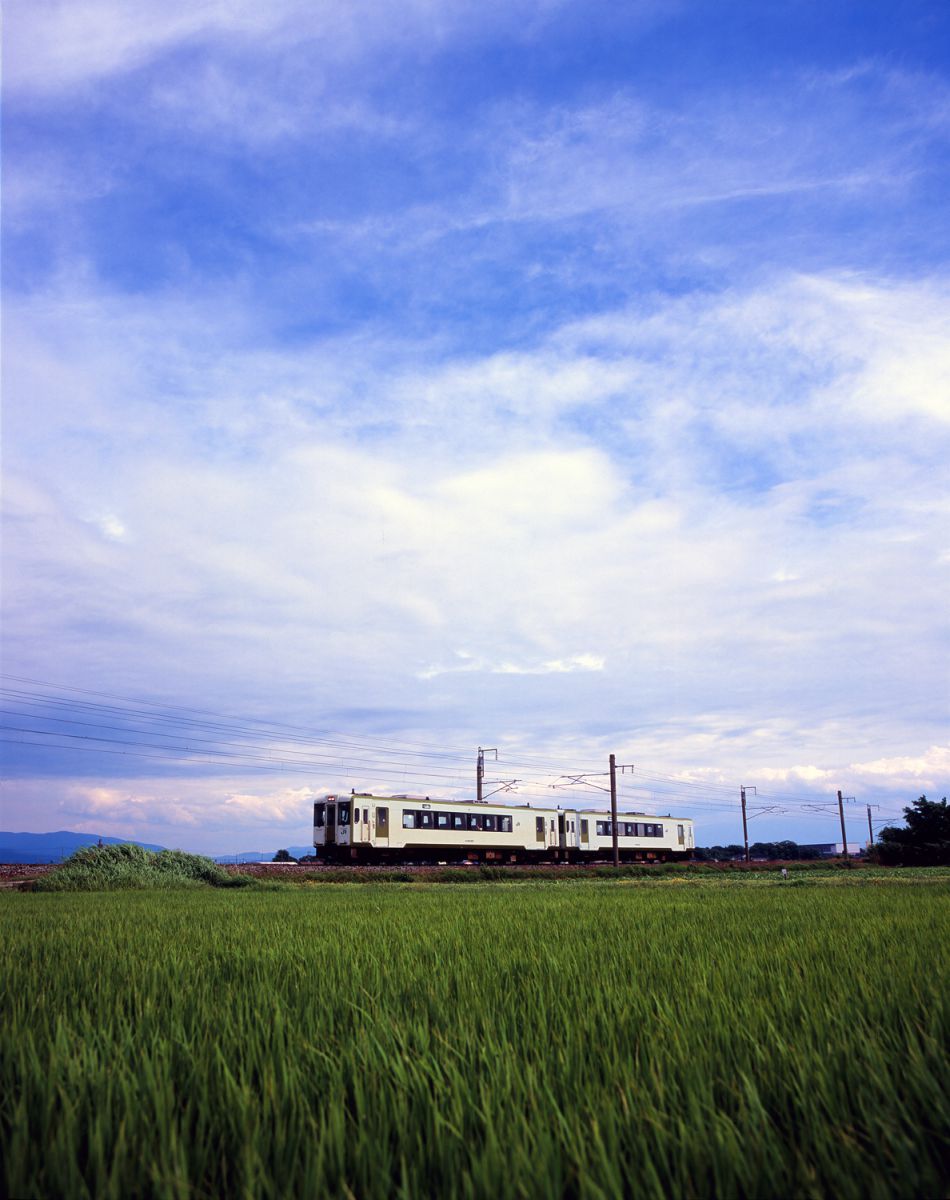 夏の日の2010 | GANREF