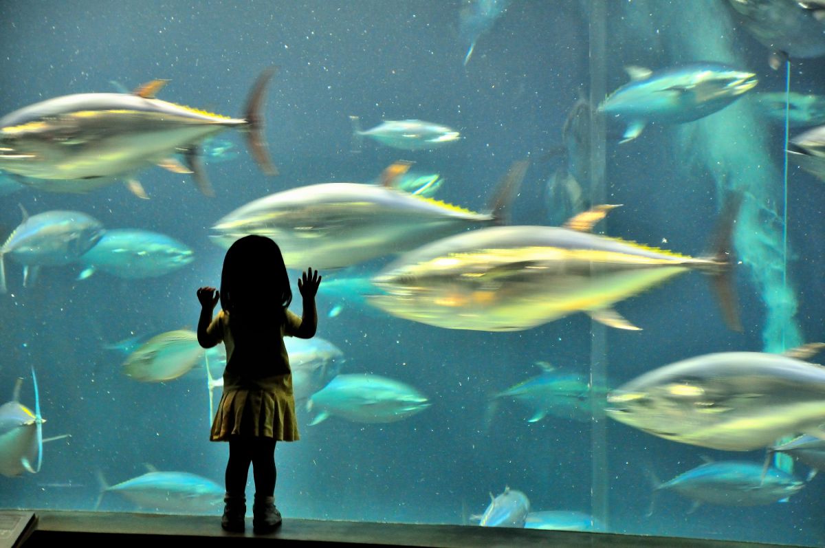 Cosmic ocean | GANREF