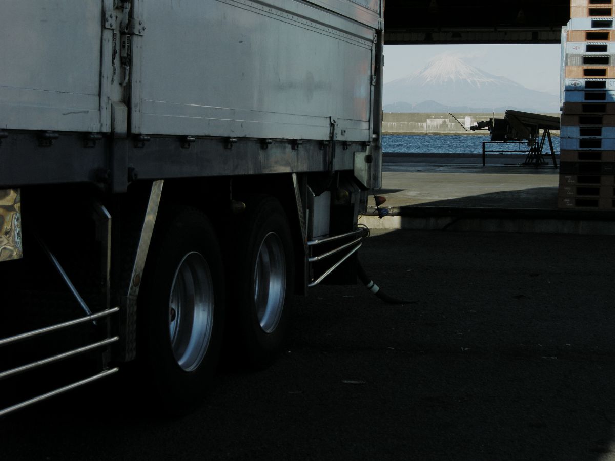 Winter Blue Screen | GANREF