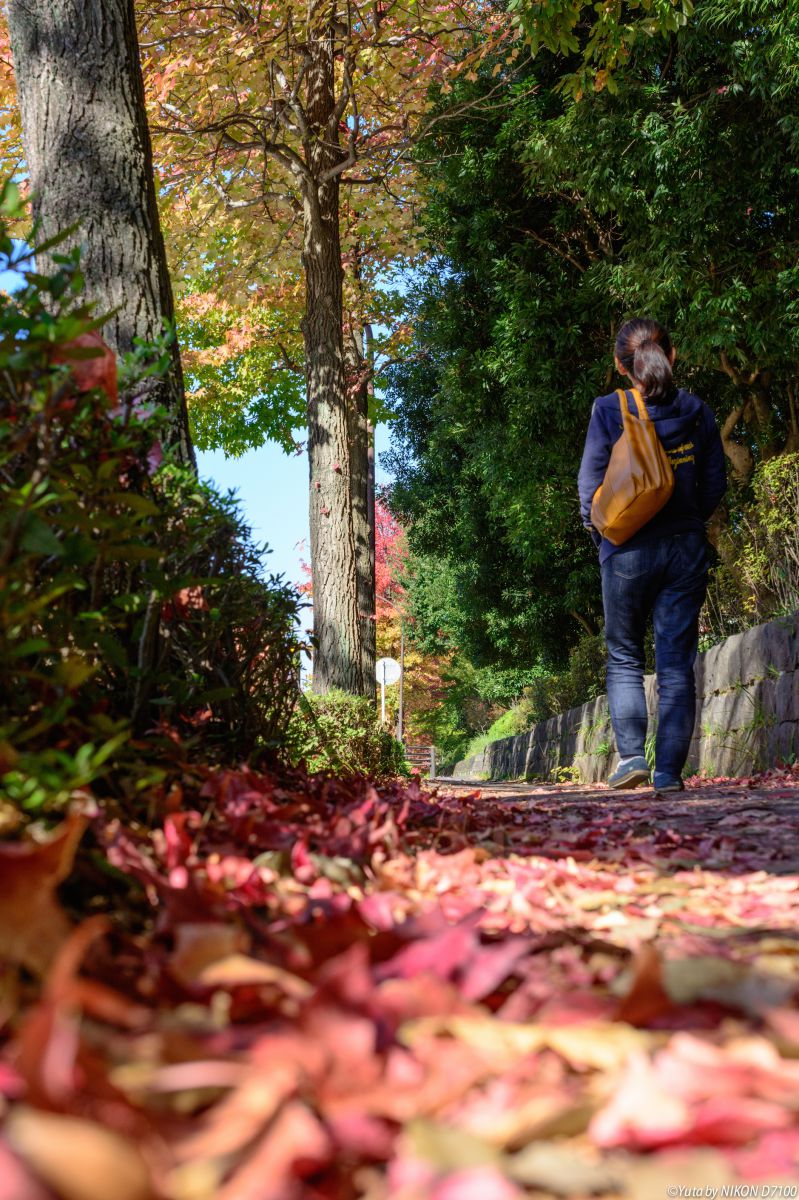 木枯らしの中で | GANREF