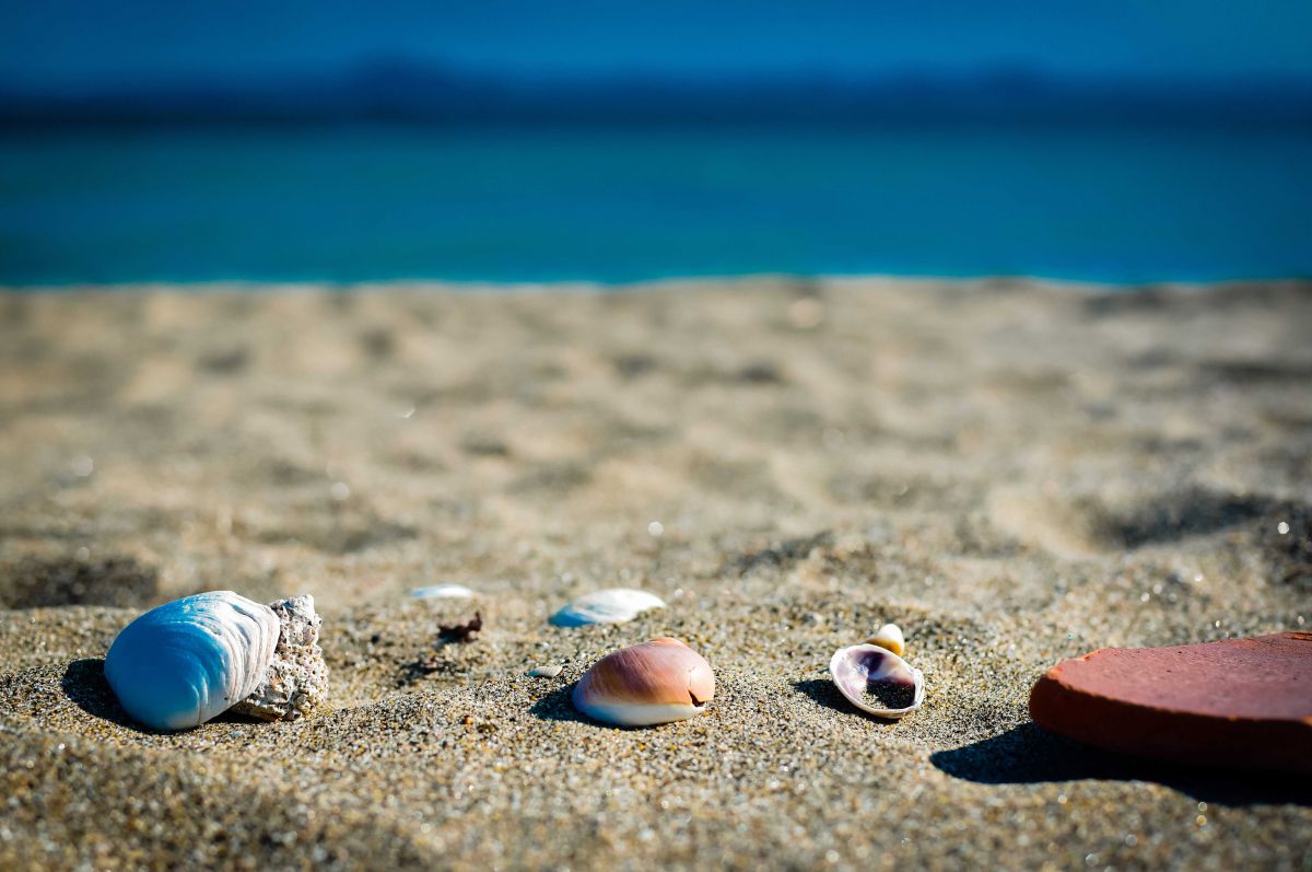 Winter Beach | GANREF