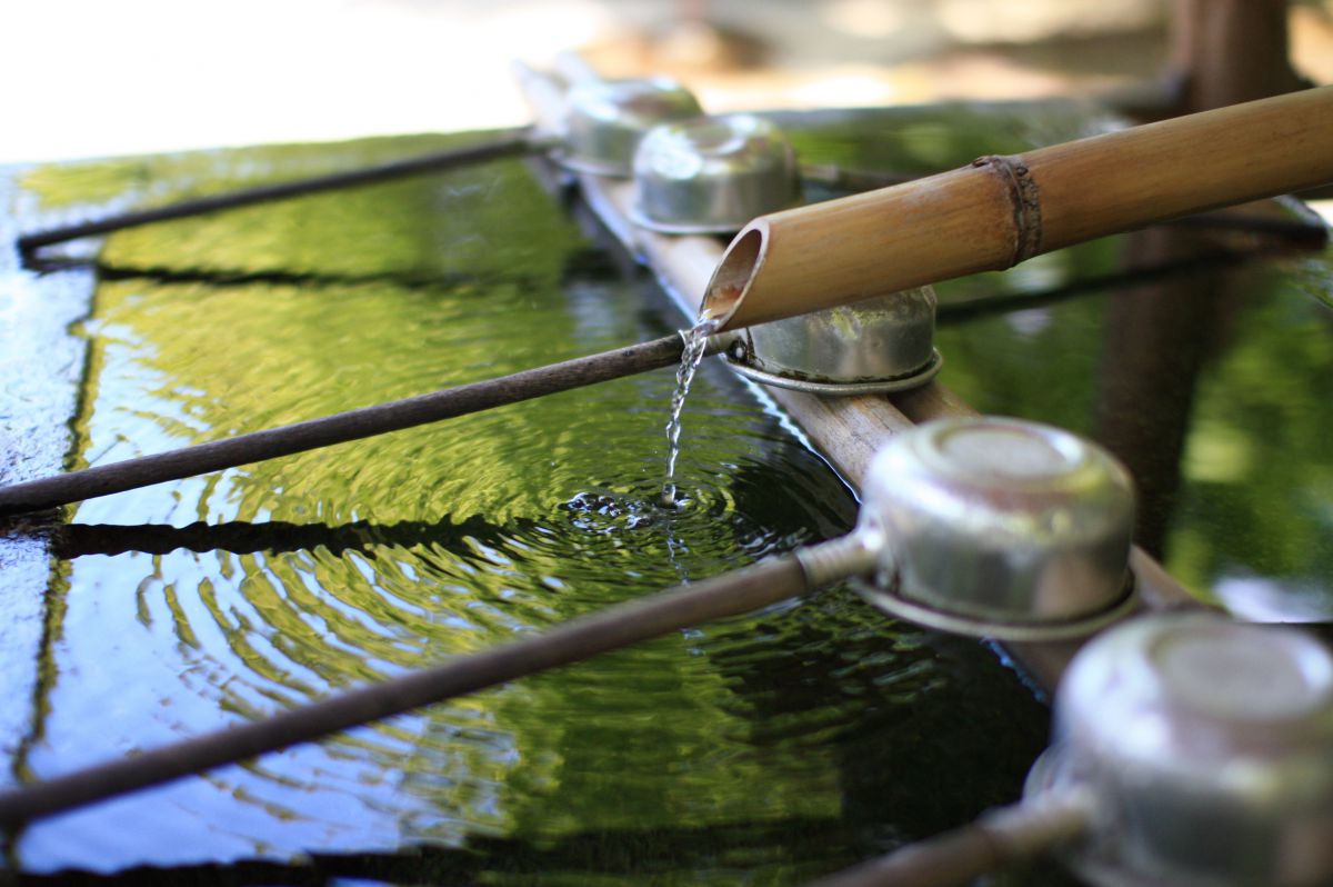 慌てない | GANREF