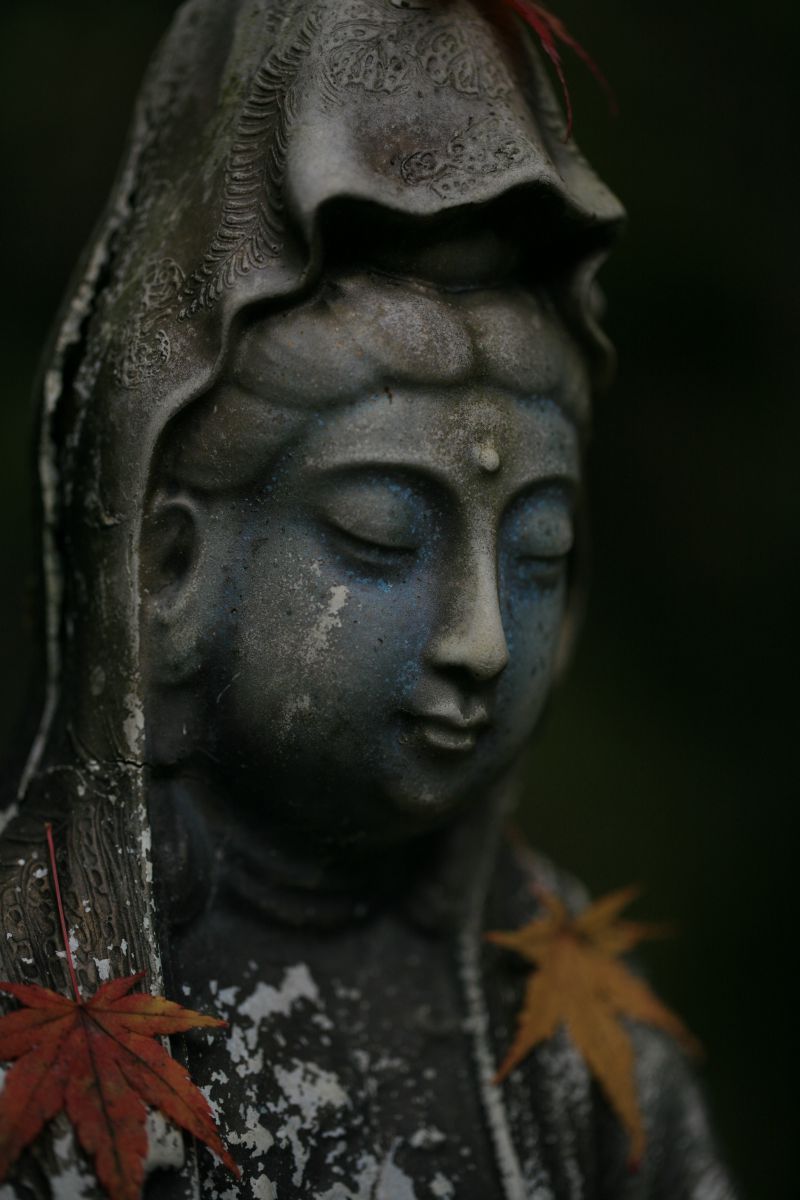 紅葉衣装 | GANREF