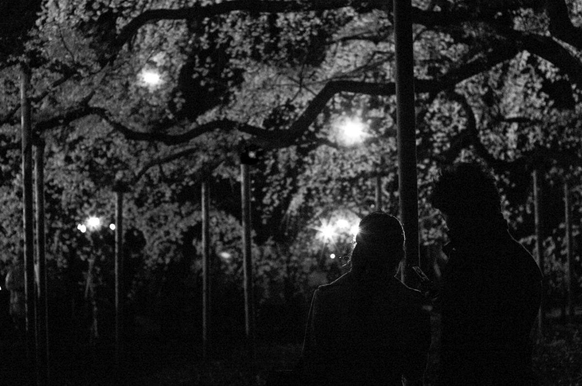 花明りII | GANREF