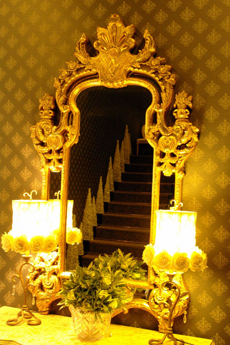 鏡の国へようこそ | GANREF