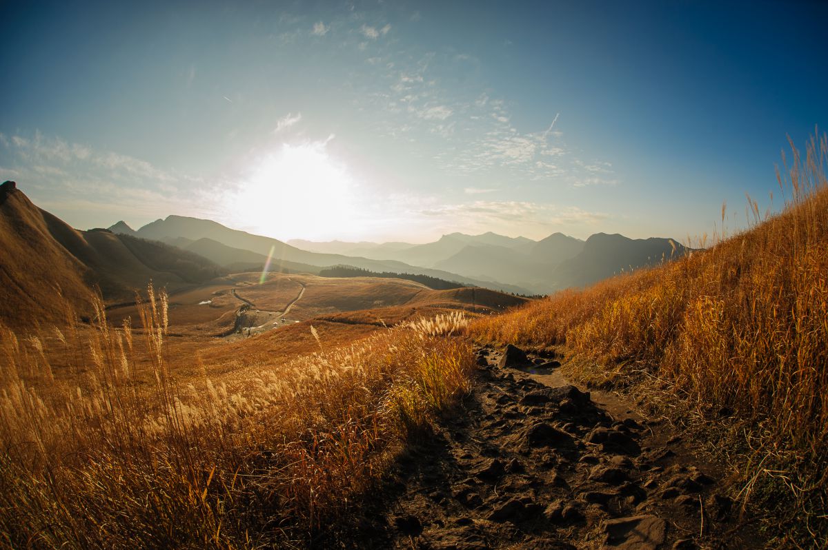 Endless Road. | GANREF