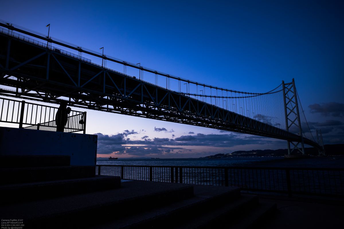 Looking Over the Bridge | GANREF