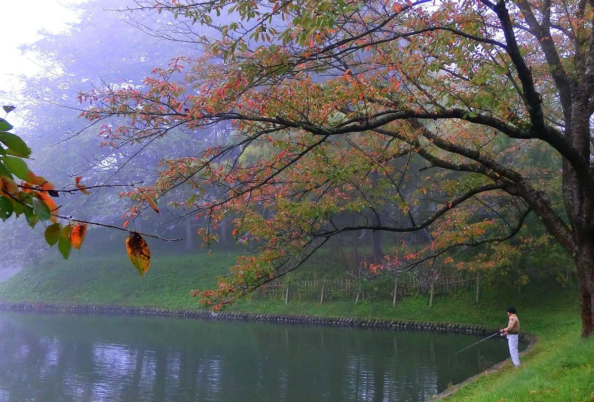 霧の朝に・・・ | GANREF