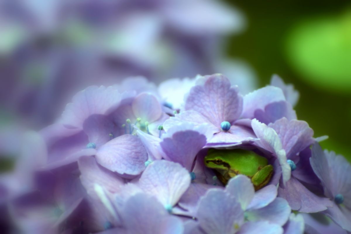 お気に入りの場所 | GANREF