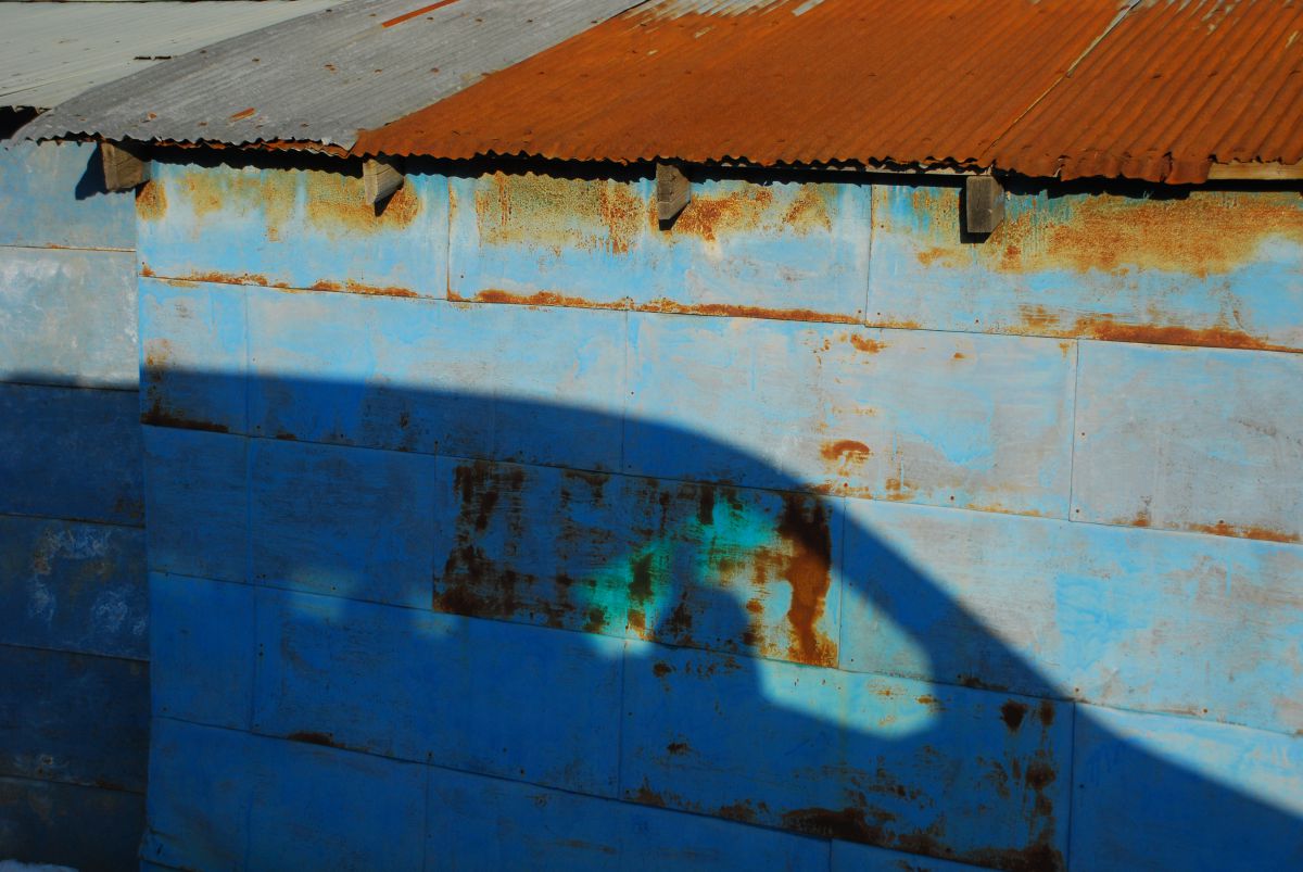 Cheerful shadow | GANREF