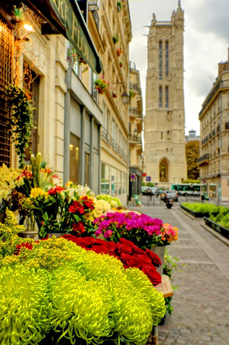 Flower Shop | GANREF