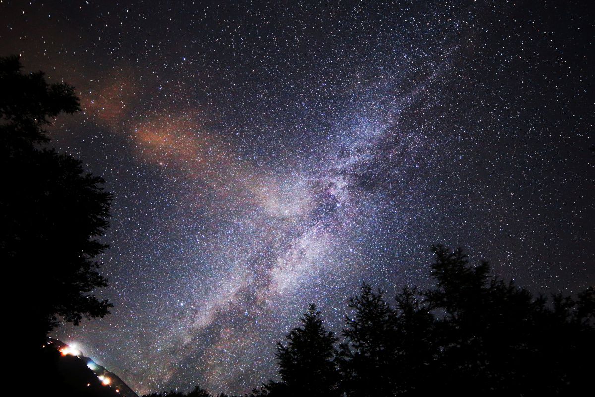 Twinkle,twinkle,little star! | GANREF