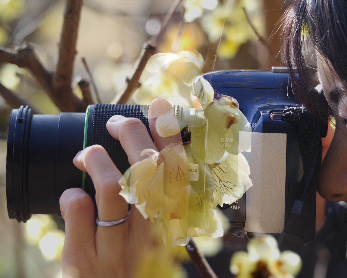 何、撮っているの？ | GANREF