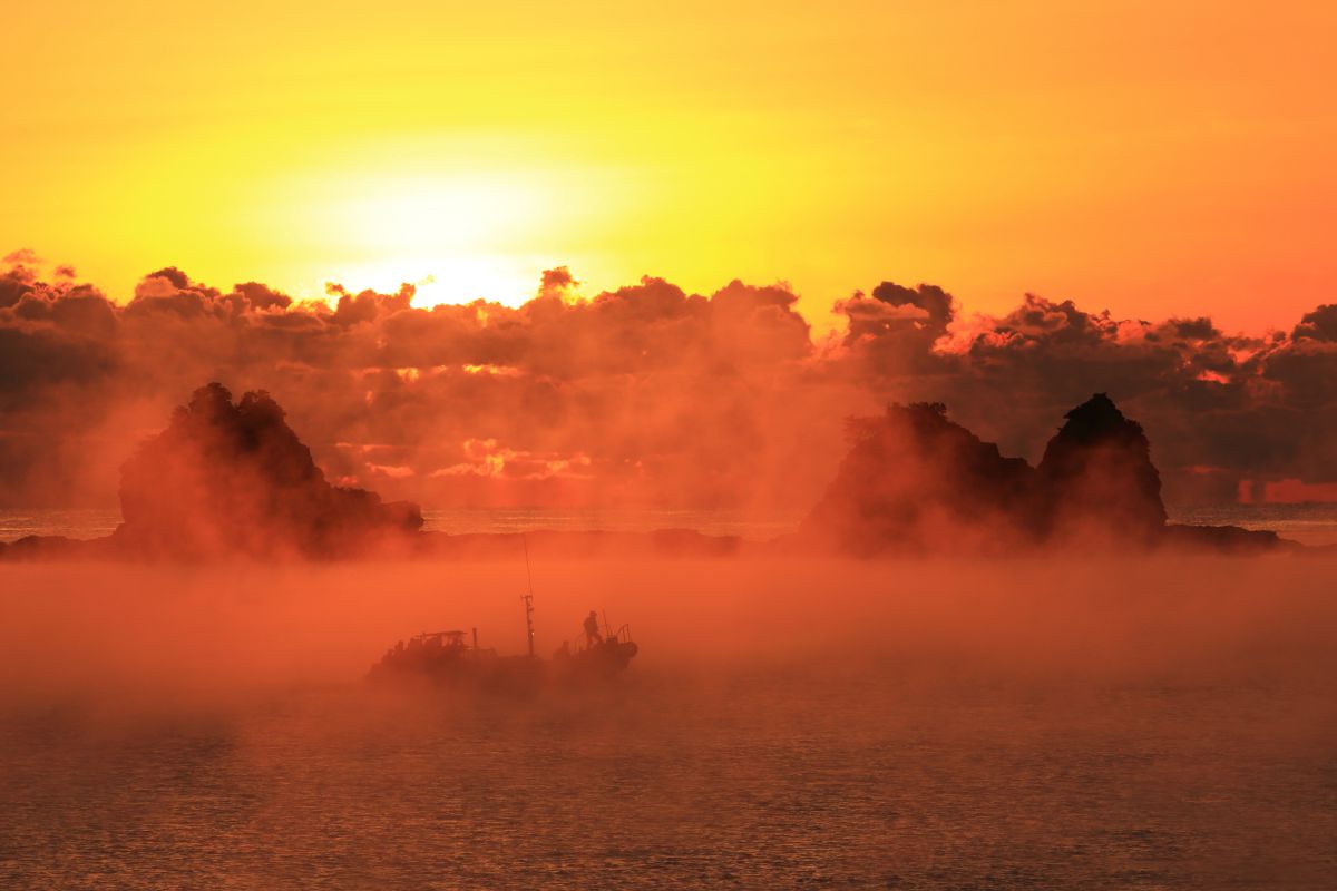 海霧の中 | GANREF