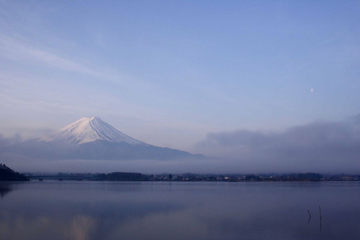 DPP_146.JPG | GANREF