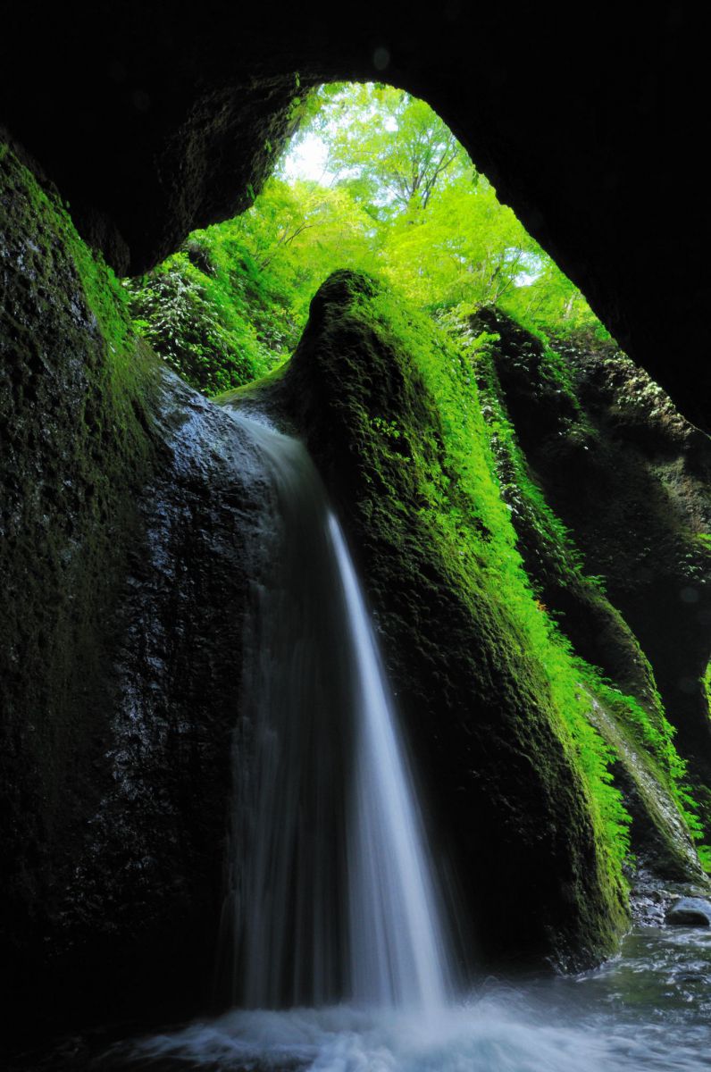 冷風の中に | GANREF