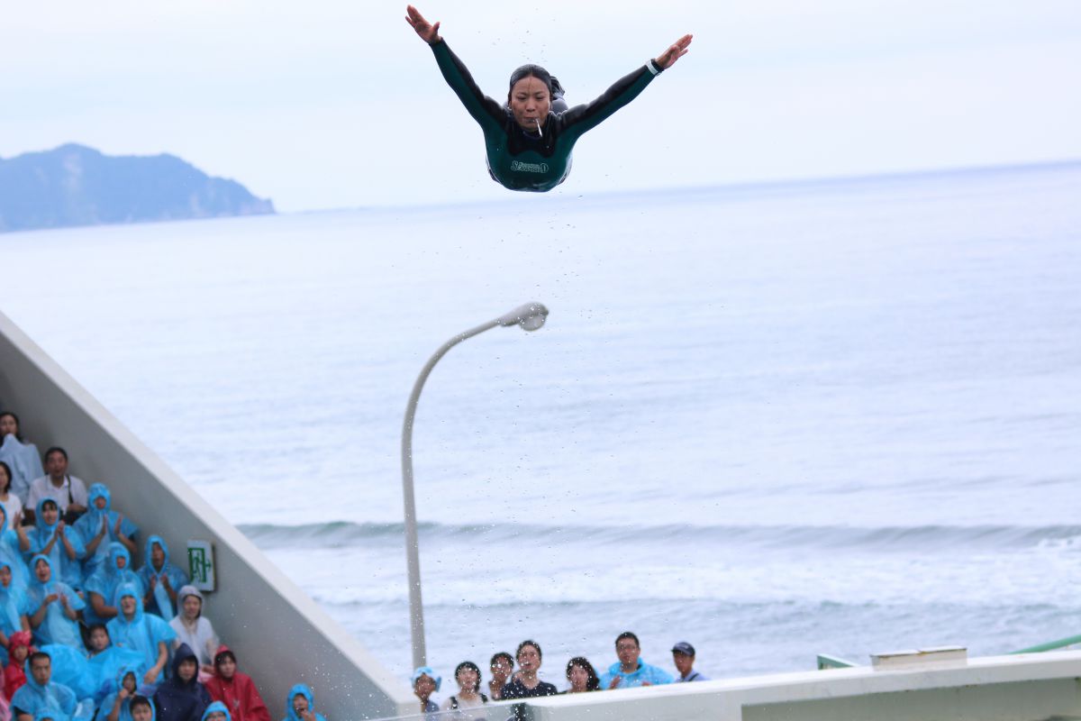 テンションMAX | GANREF