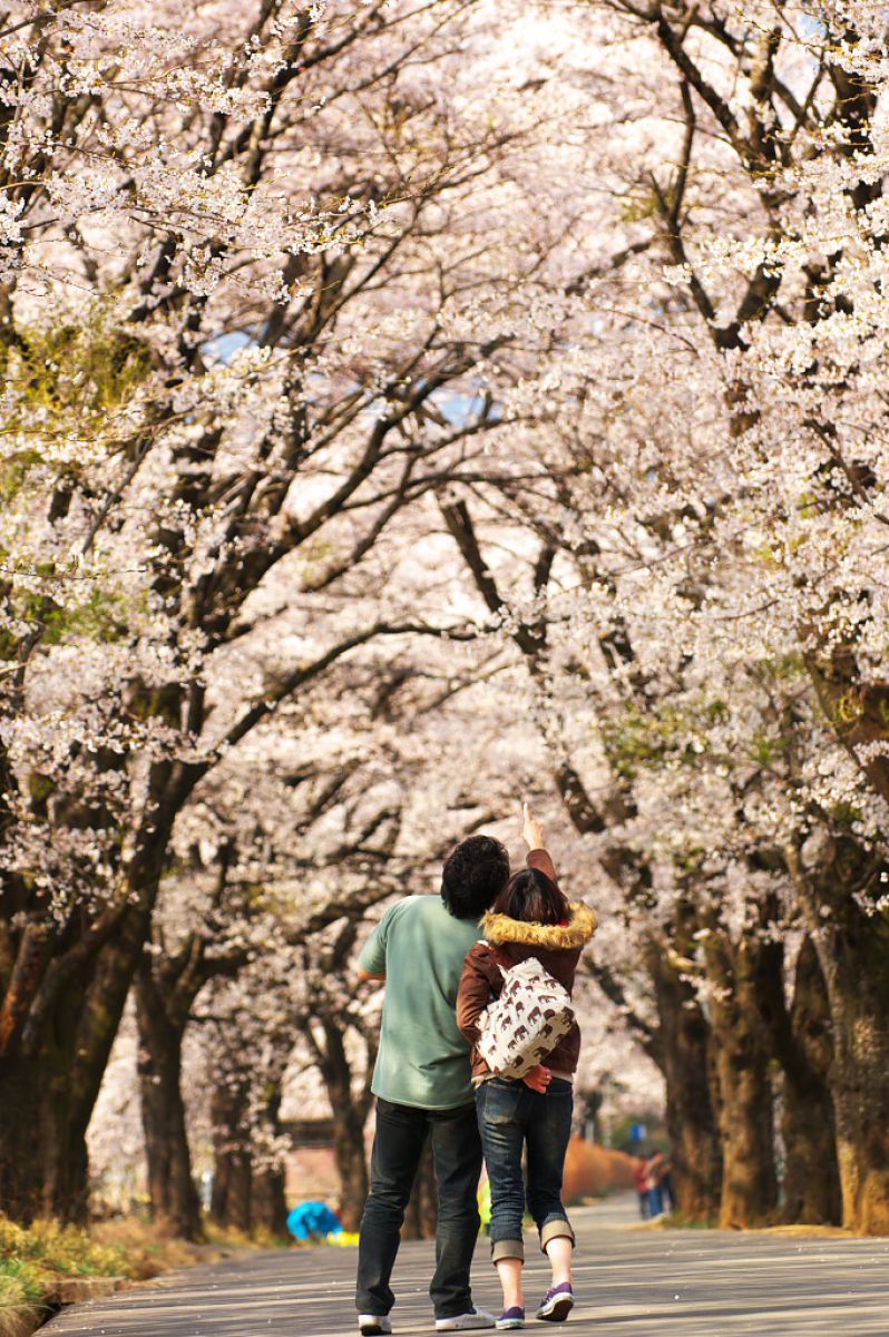 幸せの演出 | GANREF