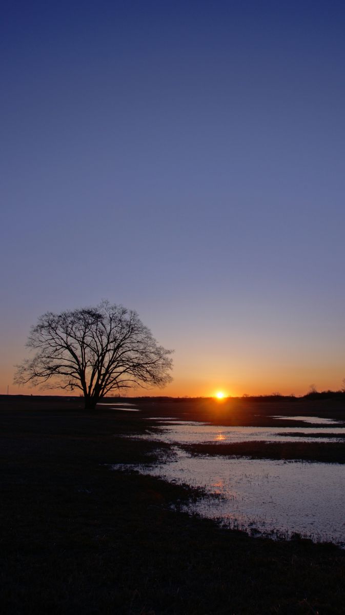 The day will dawn @HDR | GANREF