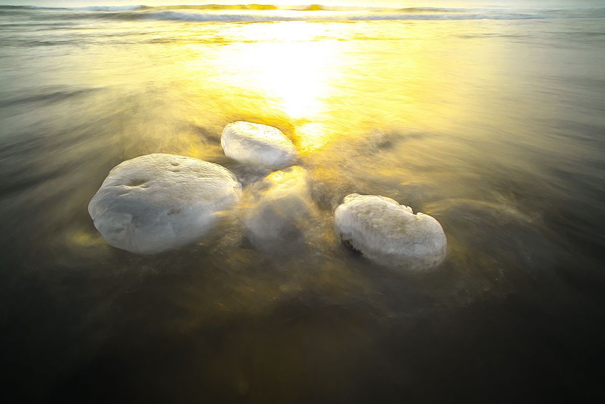 Dazzling Sea | GANREF