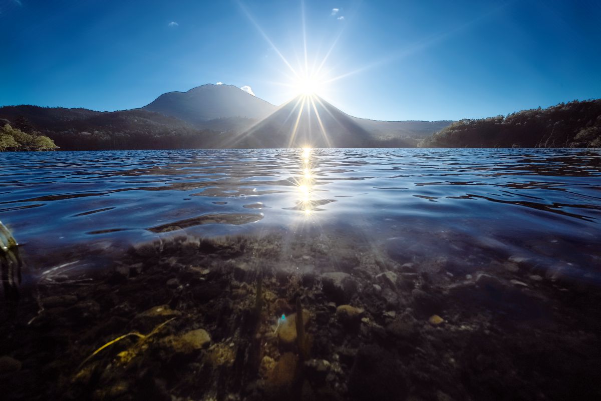 Chain Reaction | GANREF