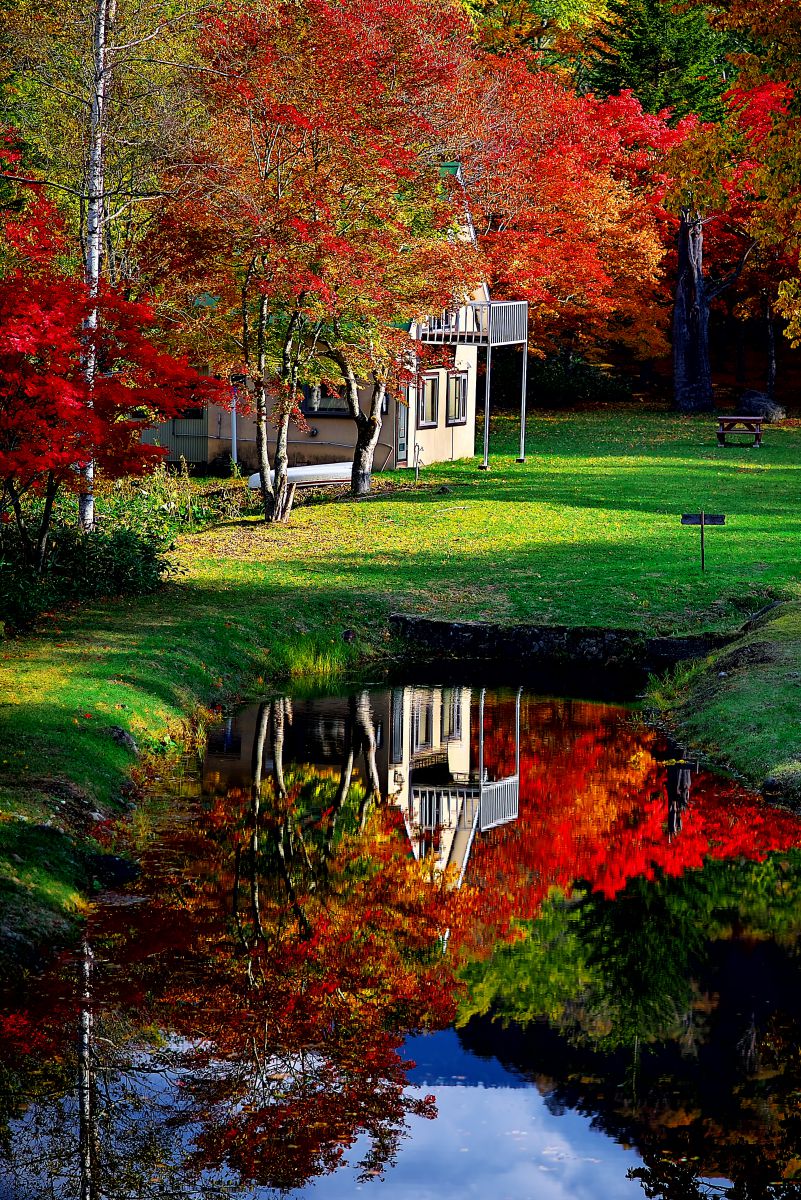Autumn Reflection ~My First Nikkor 6～ | GANREF