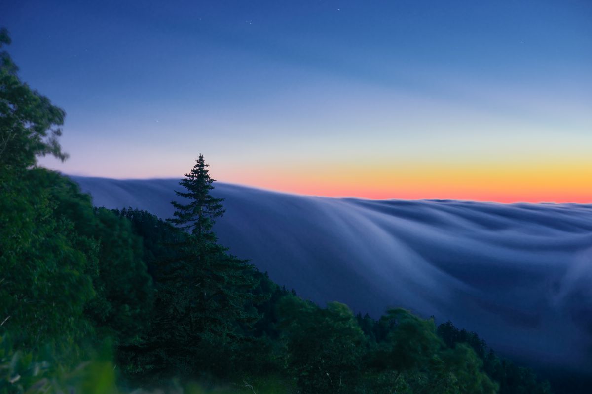 the Wave of Clouds vol.2 | GANREF