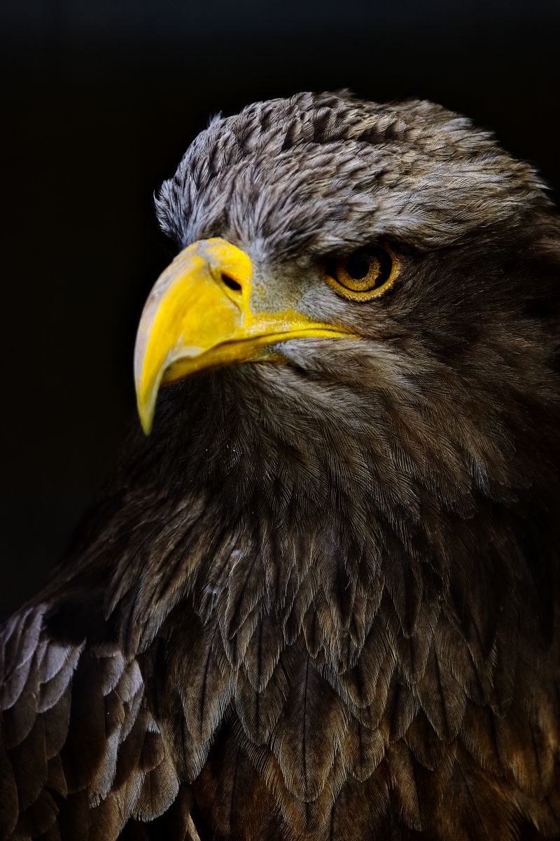 With dignity | GANREF