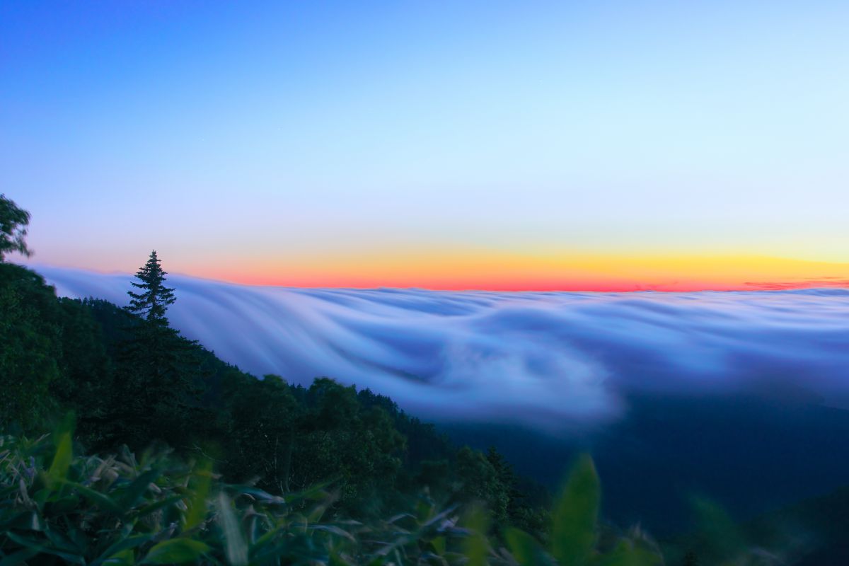 the Wave of Clouds | GANREF