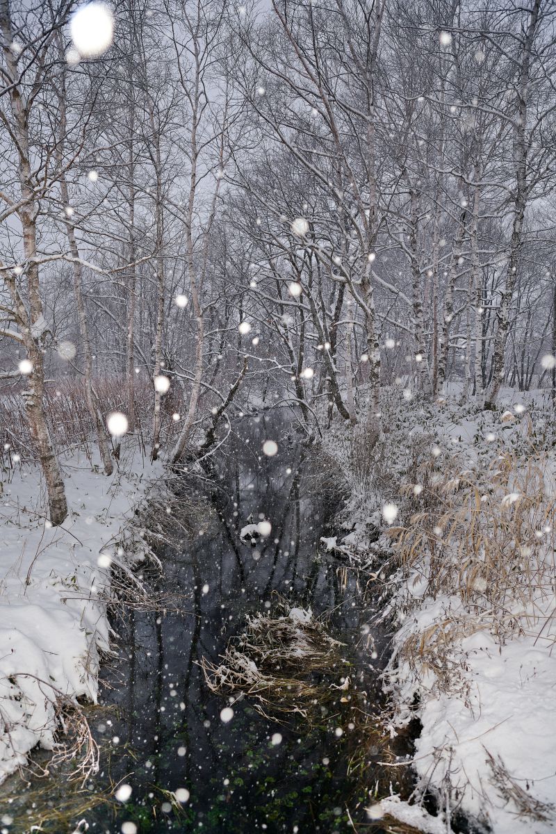 Winter Stream | GANREF