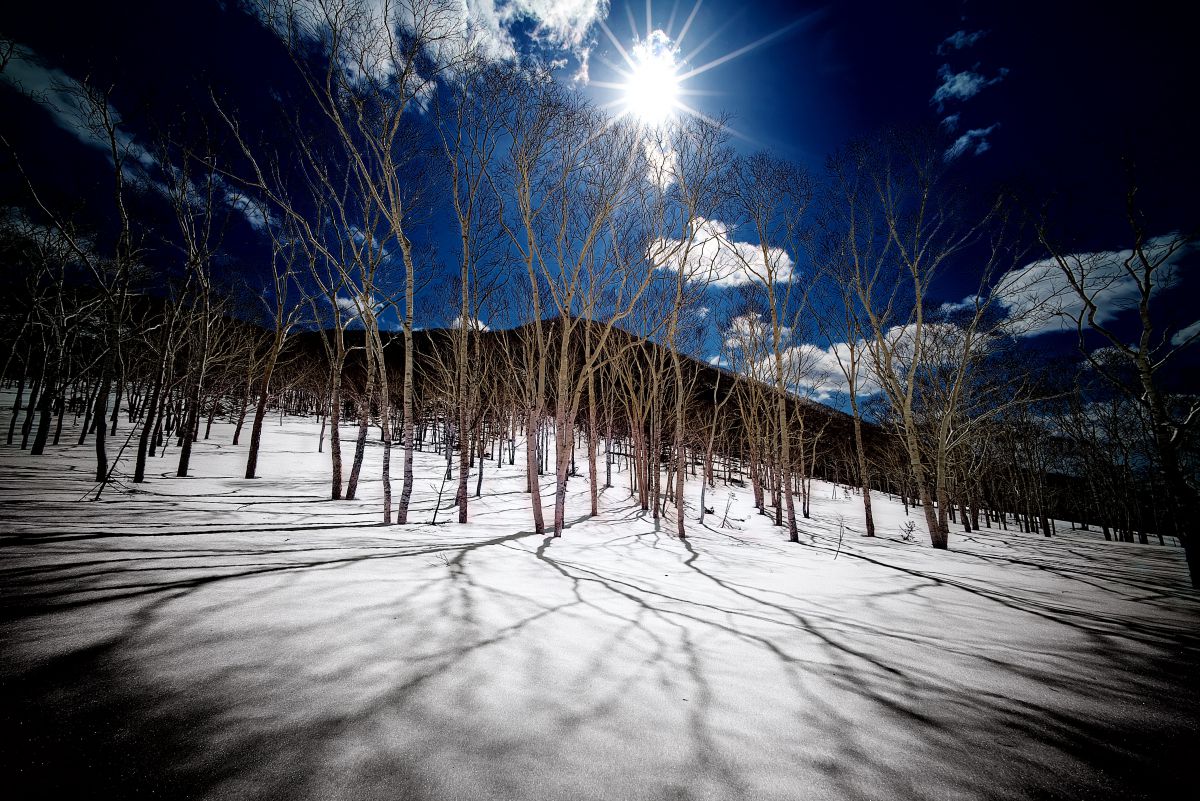 Winter Hideaway 2016 | GANREF