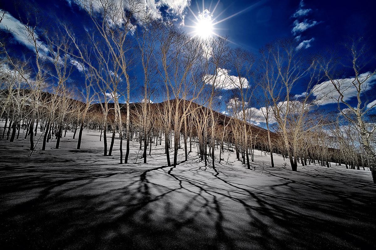 Winter Hideaway 2 | GANREF