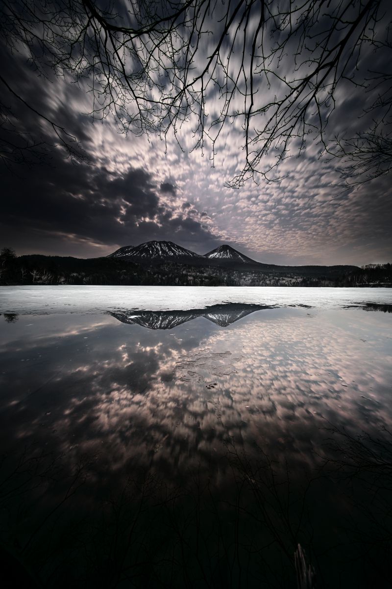 Spread Your Wings | GANREF