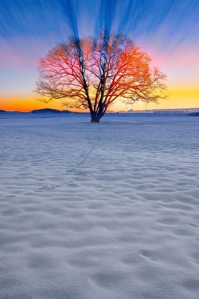 Explosion 2 | GANREF