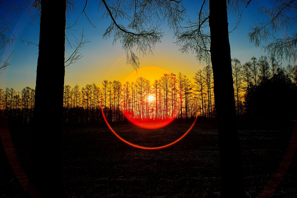 Shadowgraph ll | GANREF