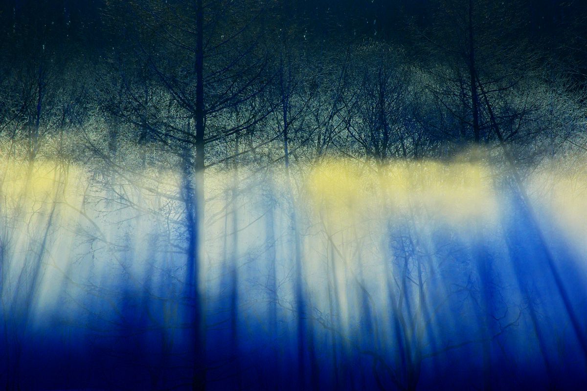 Curtain Call | GANREF