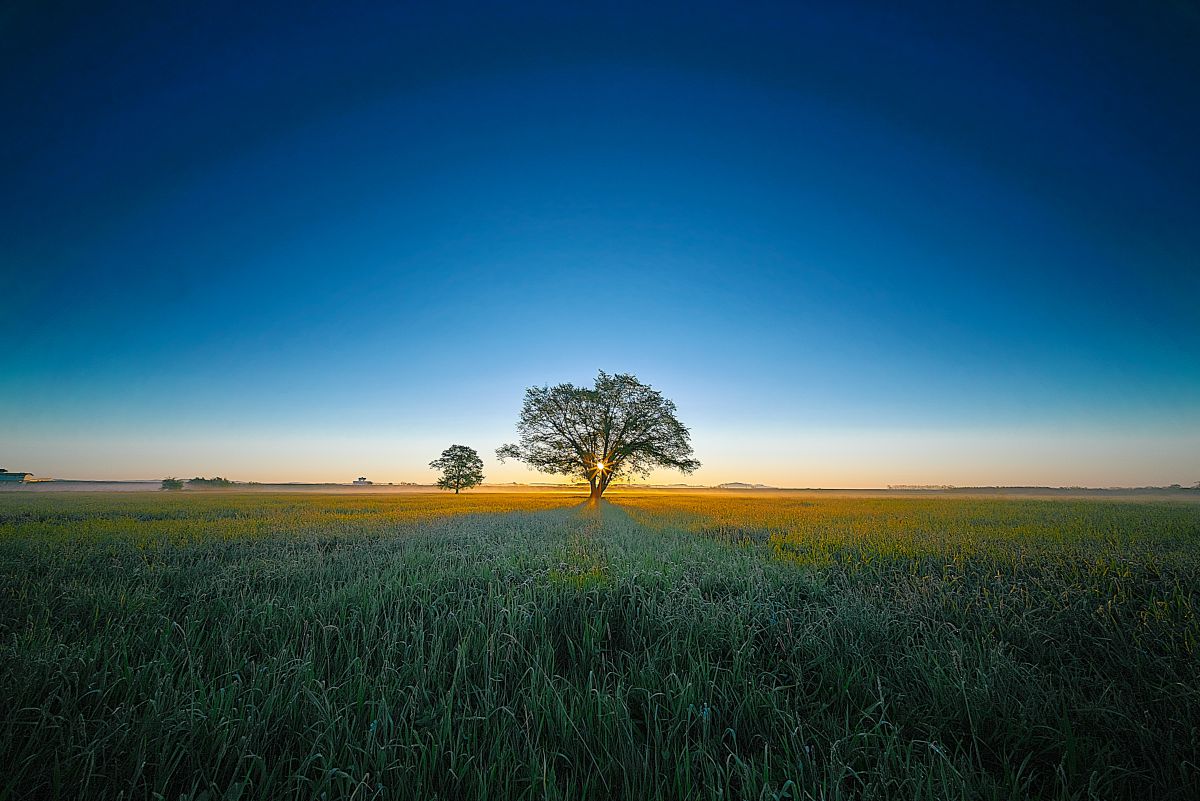 Good Day Sunshine 2 | GANREF