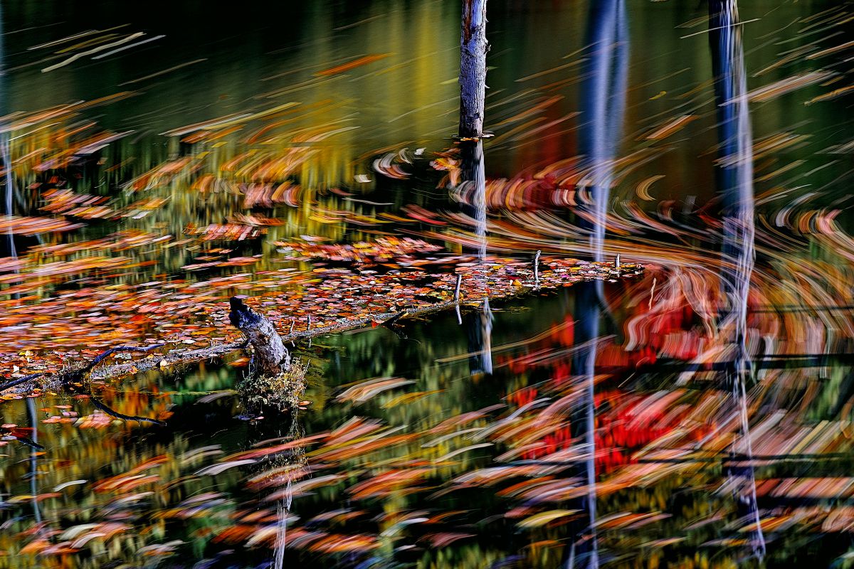 Autumn Nostalgie | GANREF